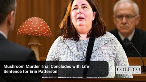 Erin Patterson Sentenced In Mushroom Murder Case Colitco