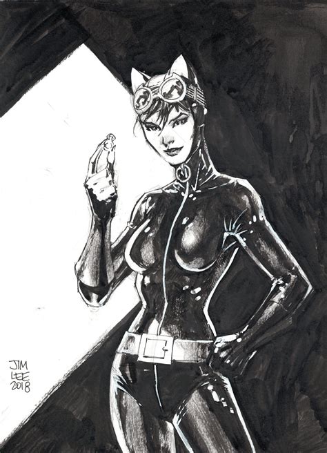 Catwoman Jim Lee In Alex Ns Not Batman Comic Art Gallery Room