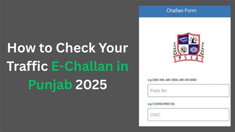 How To Check Your Traffic E Challan In Punjab 2025 Step By Step Guide