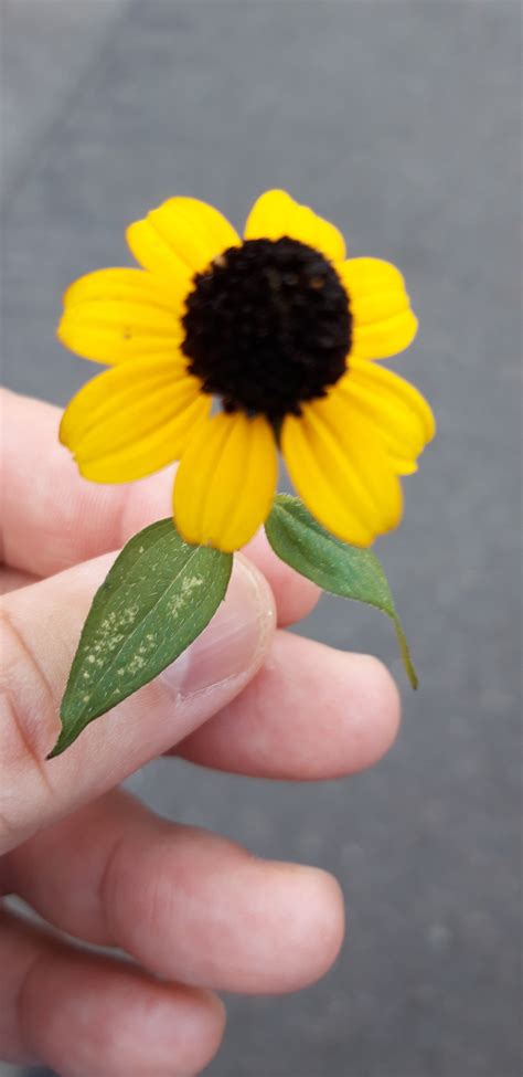 The Beauty Of Broken Things
