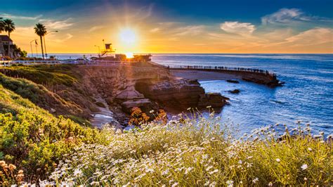 Things To Do In Sunny San Diego Gyldan Group