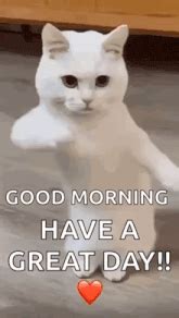 Good Morning Good Morning Everyone  Good Morning Good Morning