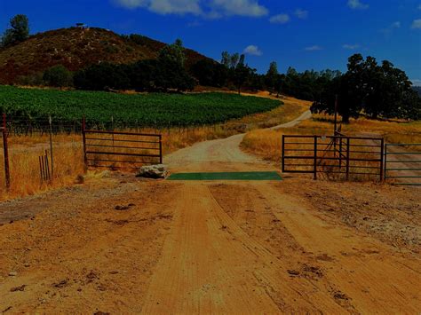 Shane Ferris Construction