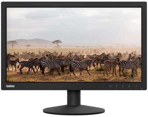 Monitor Lenovo 195 Thinkvision Led Hdmivga E20 1b Evolutek