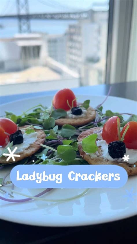 Ladybug Crackers Recipe