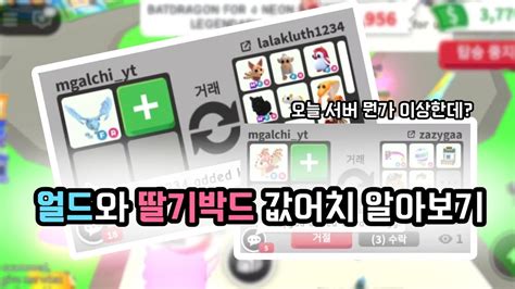 🧊 얼드와 딸기박드 🍓 의 값어치 동시에 알아보기 입양하세요 Youtube