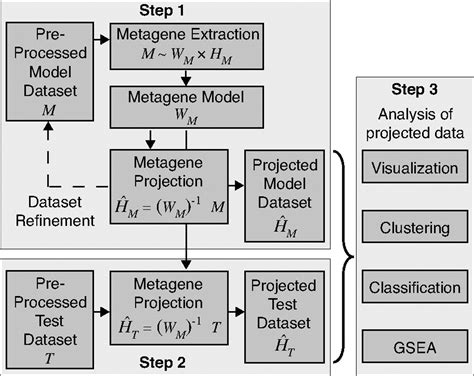 Metagene Projection For Cross Platform Cross Species Characterization