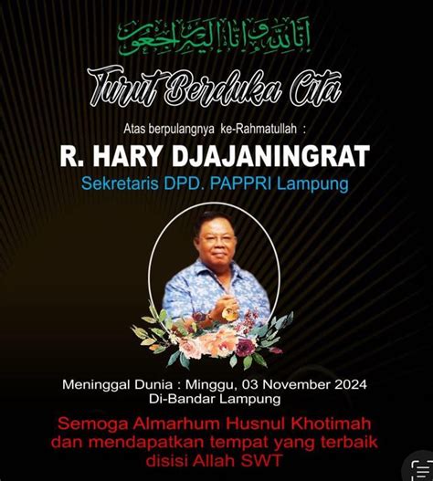 Pappriofficial Pappriofficial • Instagram Photos And Videos