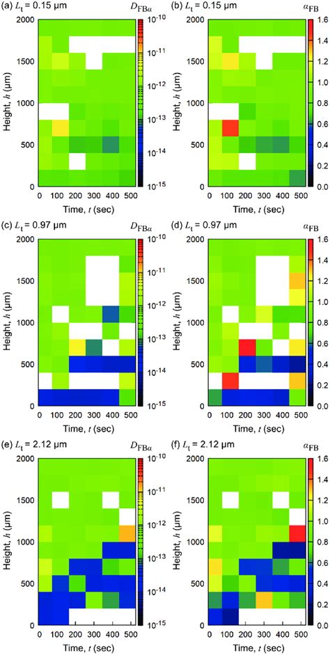 Time Evolution Of Generalized Diffusion Behavior Of Probe Particles In