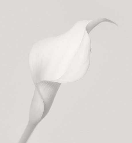 Let It Happen Hello Again My Friends There Is No Right Ti… Flickr