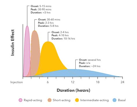 Insulin Chart A Complete Guide By