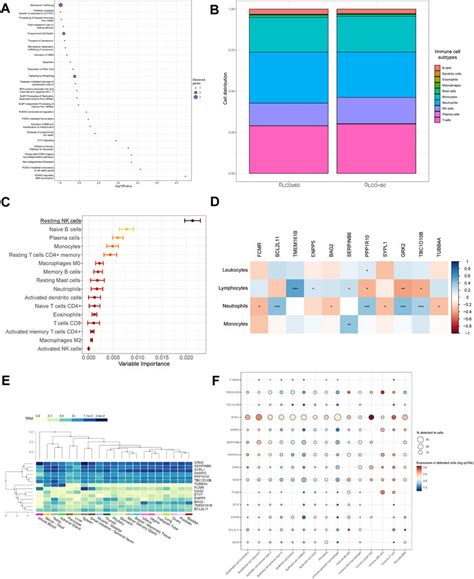 Pathway Enrichment Analysis Cellular Deconvolution And Download