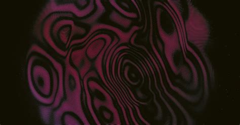 ΔΙΣΚΟΡΥΧΕΙΟΝ Vinylmine Meer Lars Bech Pilgaard σύγχρονο Pop Rock