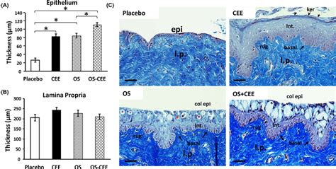 Histologic Effects On Vaginal Epithelium A Quantification Of