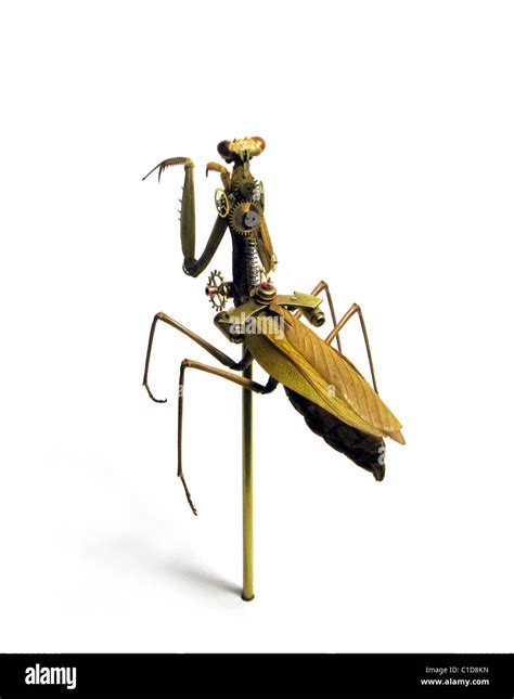 Time Flies Watch The Birdies Artist Mike Libby Has Created A Range Of Crazy Creepy Crawlies