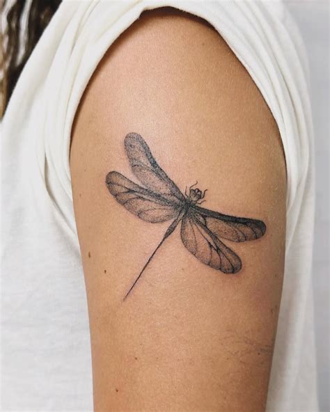 Elegant Dragonfly Tattoos Designs Timeless Artistry For Skin