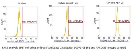 Human Peroxiredoxin 5 Prdx5 Assaylite Antibody Apc Conjugate Assaypro