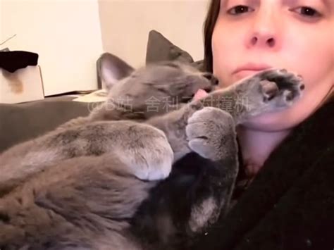 【地球生物搞笑日常180】 舍利子对撞机 舍利子对撞机 哔哩哔哩视频