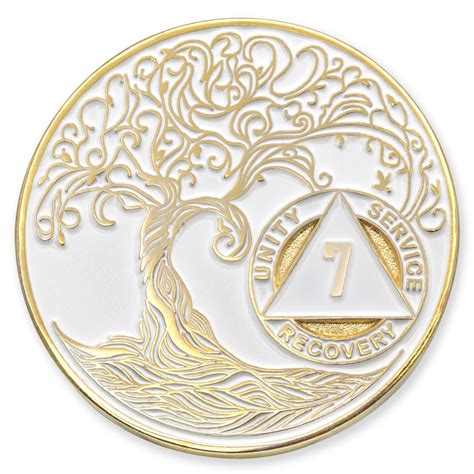 7 Year Aa Medallions Seven Year Alcoholics Anonymous Coins And Chips