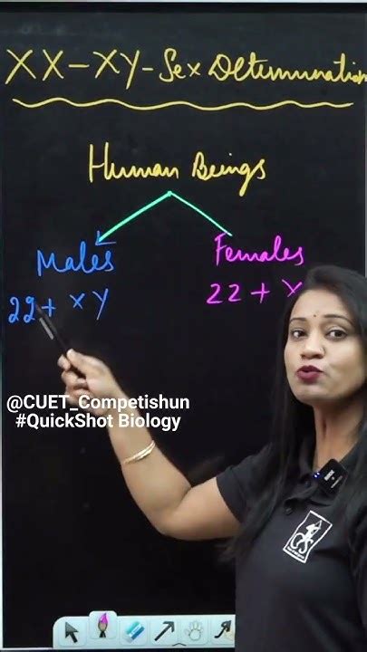 Understand The Sex Determination In Human Beingsquickshot Biology