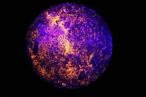 Help Making A Color Thresholding And Measuring Macro Rimagej