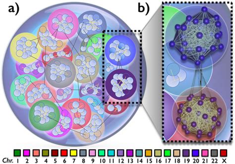 Interactions Among Chromosomes