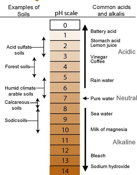 Soil Ph Scale