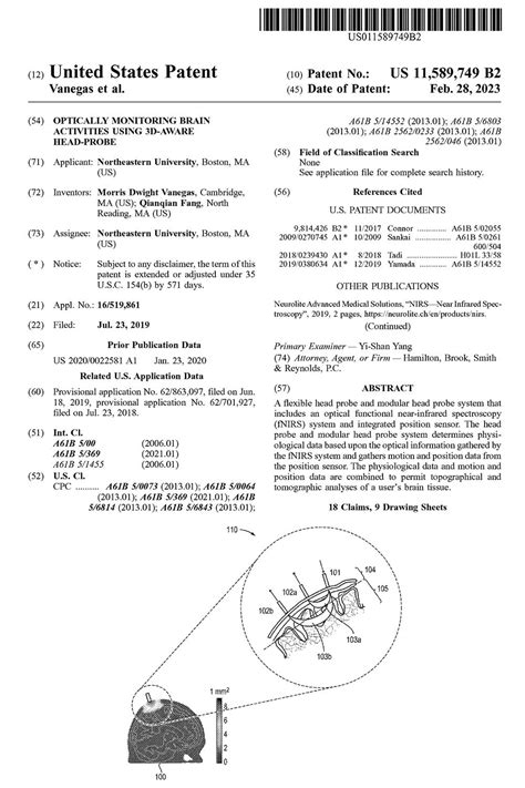 Designs For A Non Invasive Brain Imaging Head Probe Northeastern University College Of Engineering