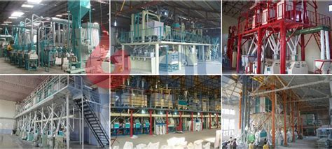 Complete Set Of Automatic Maize Proce