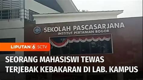 Berita Pascasarjana Ipb University Hari Ini Kabar Terbaru Terkini
