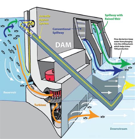 How Does A Dam Spillway Work At Anita Sosebee Blog