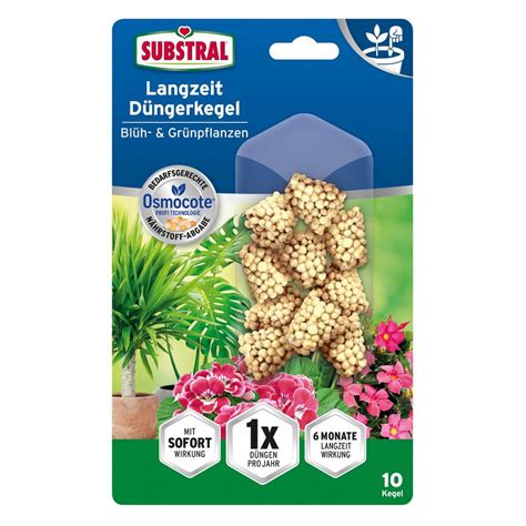 Substral Langzeitdünger Langzeit Düngerkegel Blüh And Grünpflanzen 10 Stück