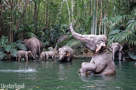Yesterland Hollywood Pictures Backlot Elephants