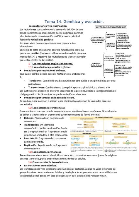 Apuntes Biología Genética Y Evolución Docsity