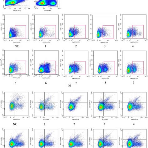 The Rate Of Th17 And Treg Cells On Flow Cytometry A The Total