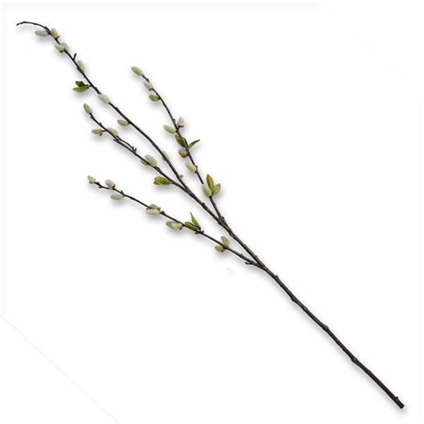 Buy Faux Pussy Willow — The Worm That Turned Revitalising Your