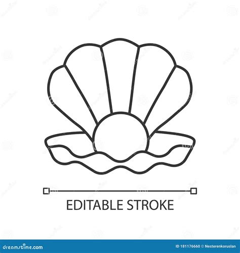 Clam Shell Outline