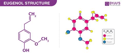 Eugenol C10h12o2 Structure Molecular Mass Properties And Uses