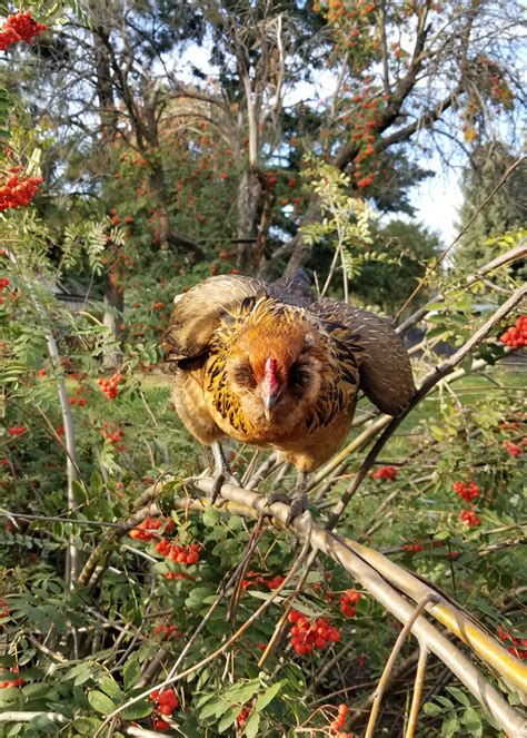 Emily Stepp On Twitter She Was Trying To Copy Her Sisters Ppuplj07kf Twitter