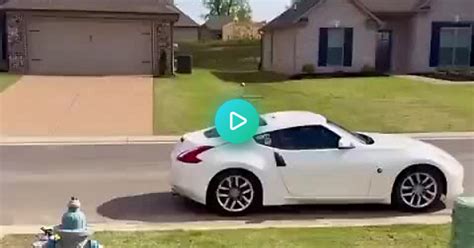 Did You Know An Entire Colony Of Bees Can Track And Follow Their Queen