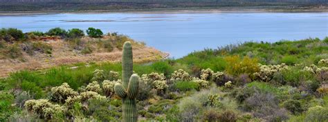 Arcgis Data Reviewer Data Quality Management