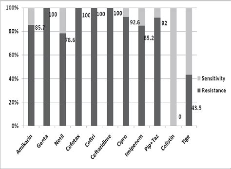 Antibiogram Of Isolated Acinetobacter N28 Download Scientific Diagram