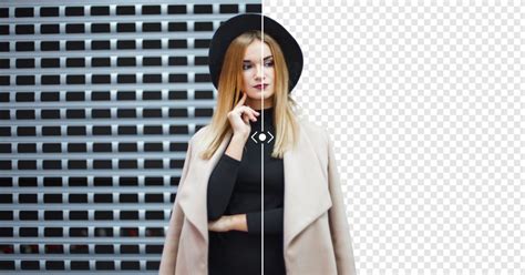 wordpress before and after slider plugin code canel