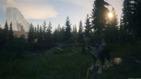 We All Know That The Photo Mode Is Made For Fancy Torgal Pics Rffxvi
