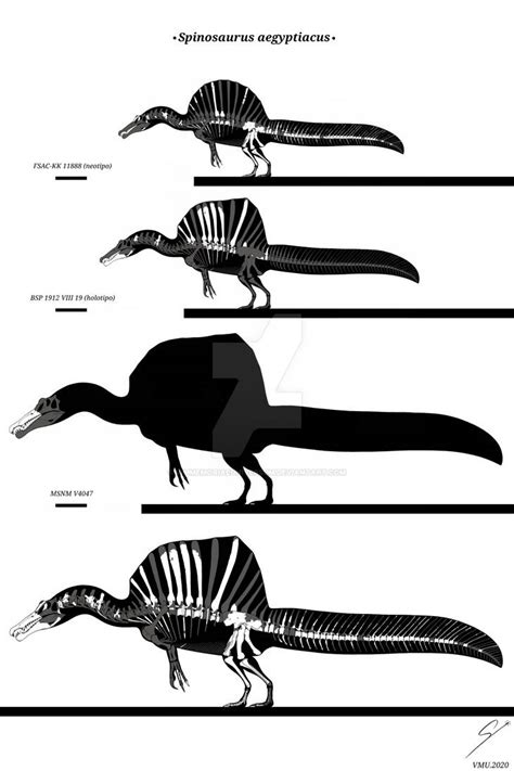 ~spinosaurus Aegyptiacus~ By Vimmemoriaeuniversum On Deviantart