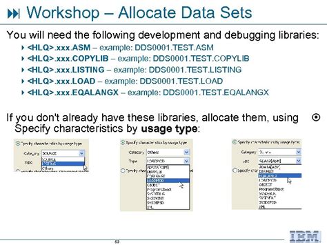 IBM Software Group RDz Workbench Debugging