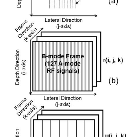 Schematic Representation Of Ultrasound Data Acquisition Coordinate And