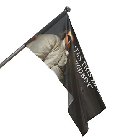 Tax This Dick Fed Boy Benjamin Franklin Pole Flag Anti Fed Club