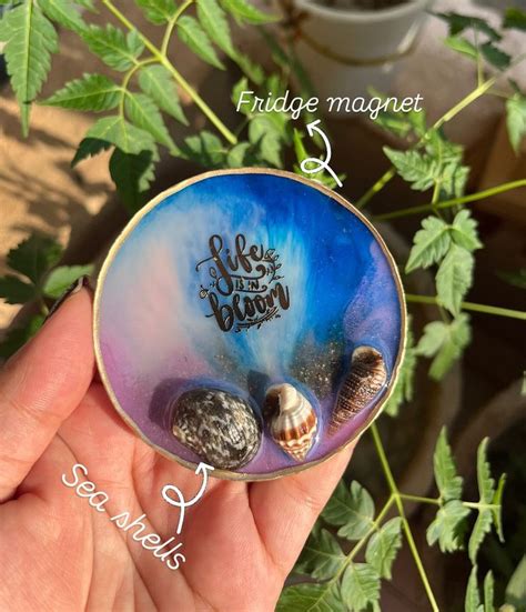 Resin Fridge Magnets With Sea Shells 😍 Get Yours For ₹450 Free