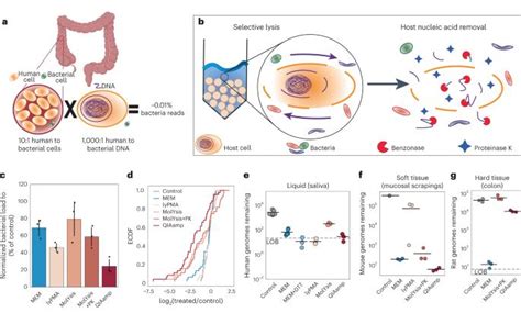 Microbial Enrichment Method Enables High Throughput Metagenomic